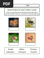 Eight-Letter Animal Names List | PDF