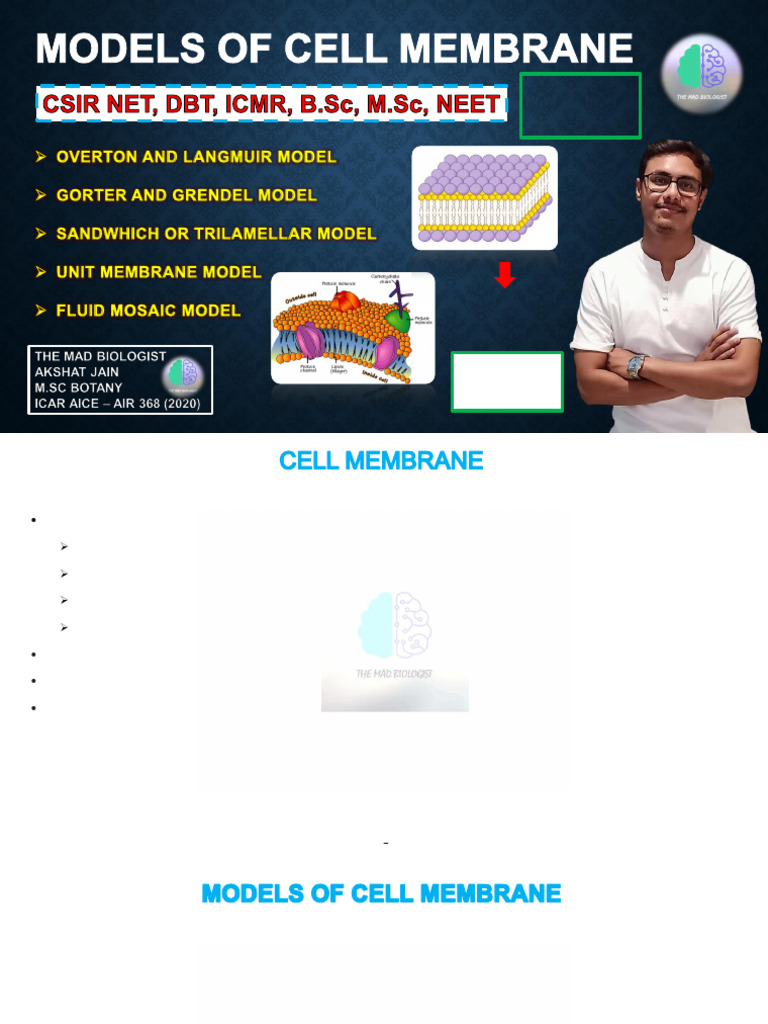 Models of Cell Membrane | PDF | Cell Membrane | Lipid Bilayer