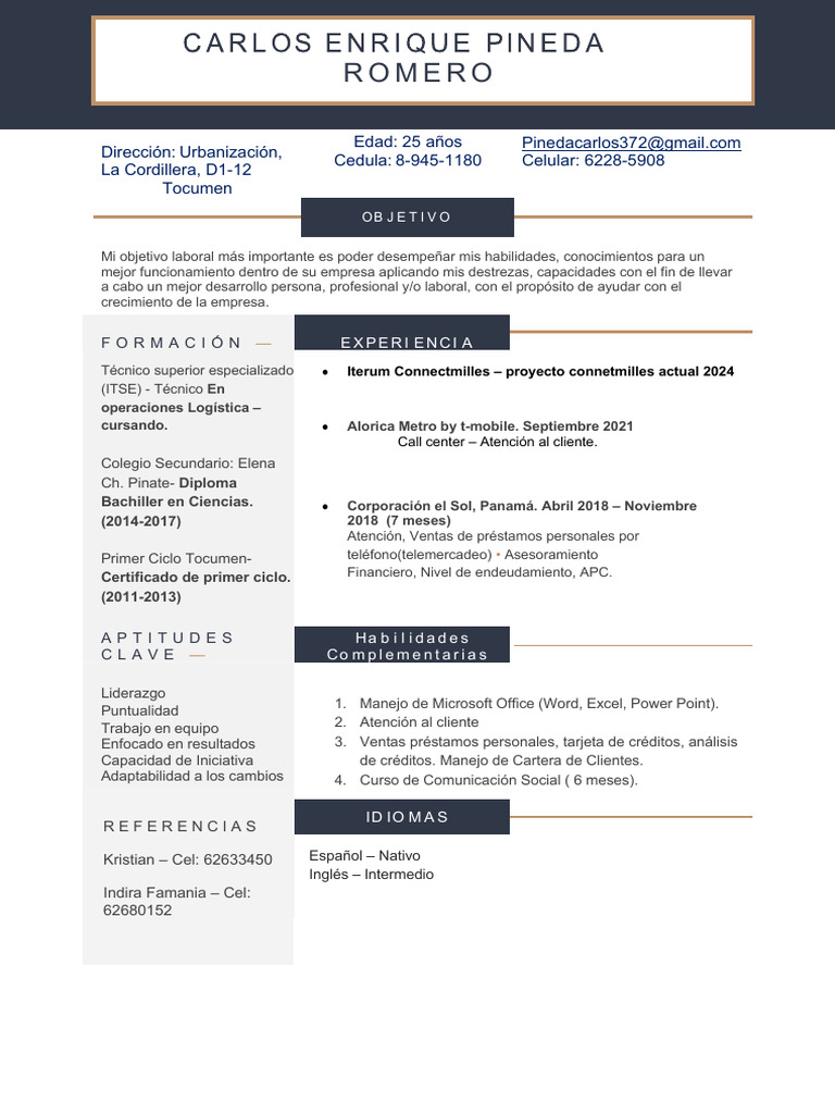 CV Carlos Pineda | PDF