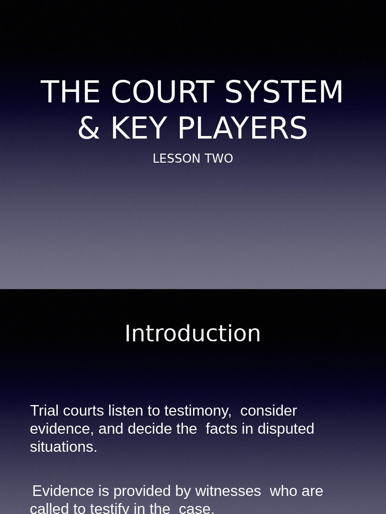 Understanding the Court System Basics | PDF | Jury Trial | Trials