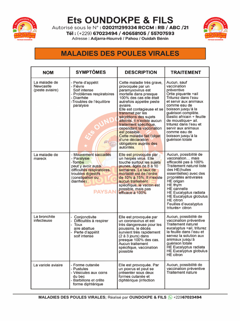 Maladies Des Poules Traitements Et Astuces | PDF