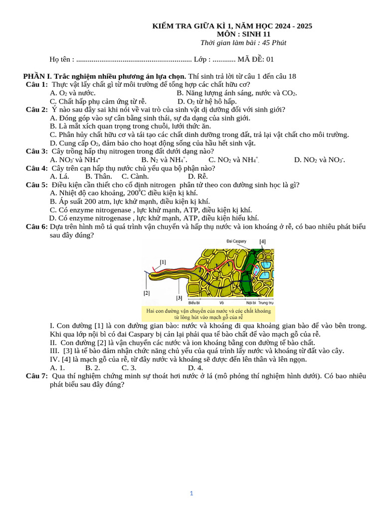 11 - - ĐỀ MINH HỌA 1 - - KT GK1 - - SH11 - - ĐỀ 01 | PDF