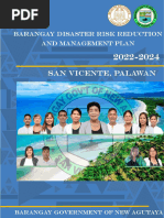 BARANGAY DISASTER RISK REDUCTION & MANAGEMENT (BDRRM) PLAN 2025 | PDF ...