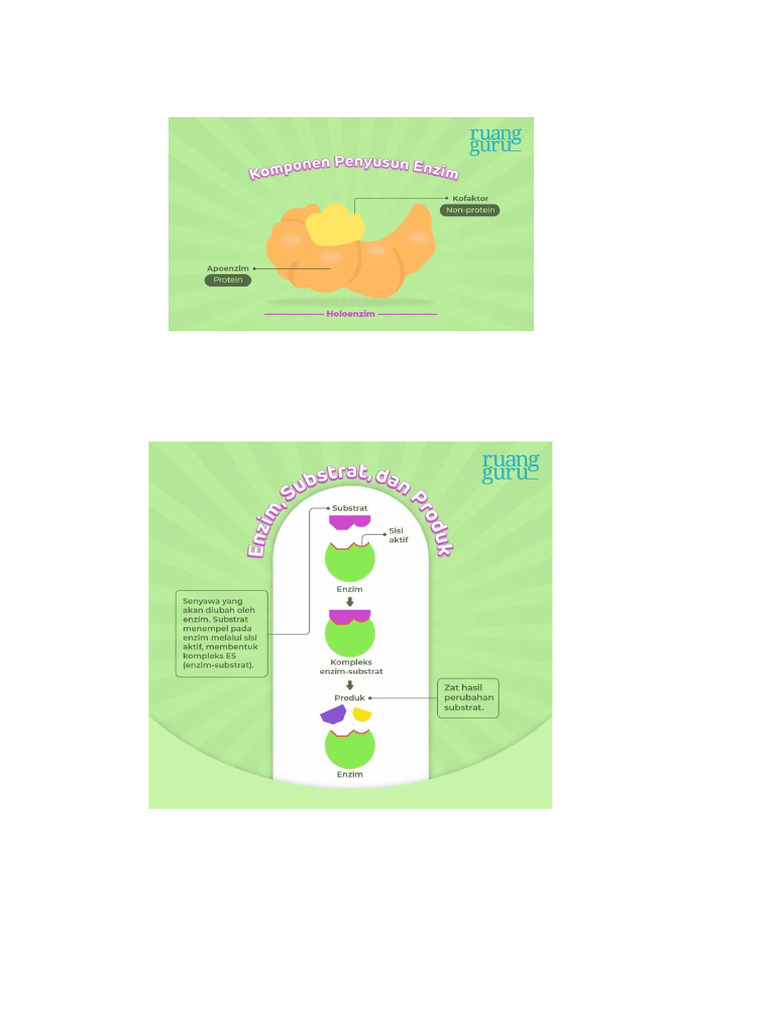 Struktur Enzim | PDF