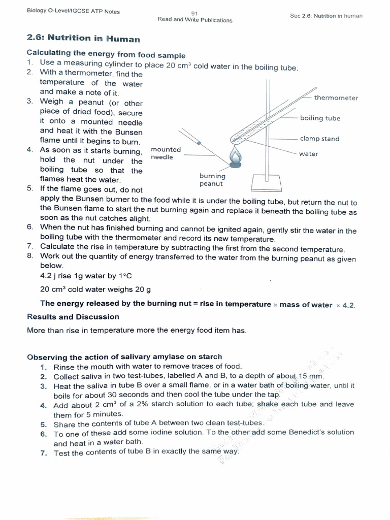 O Level Biology ATP Notes 5 | PDF | Breathing | Digestion