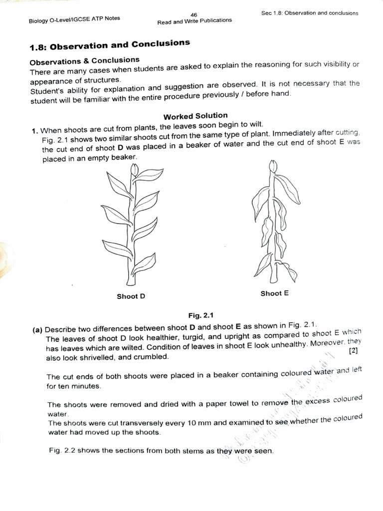 O Level Biology ATP Notes 3 | PDF | Accuracy And Precision | Experiment