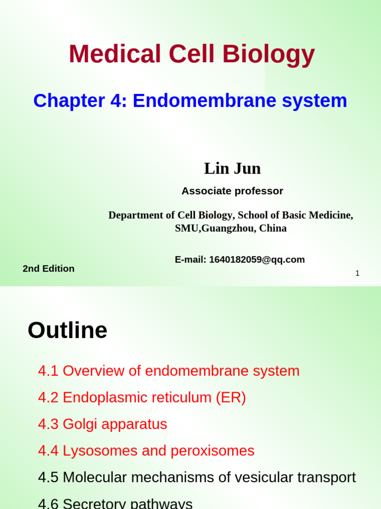 04. Endomembrane System,Protein Sorting and Vesicle Transport - 复件 | PDF | Endoplasmic Reticulum ...
