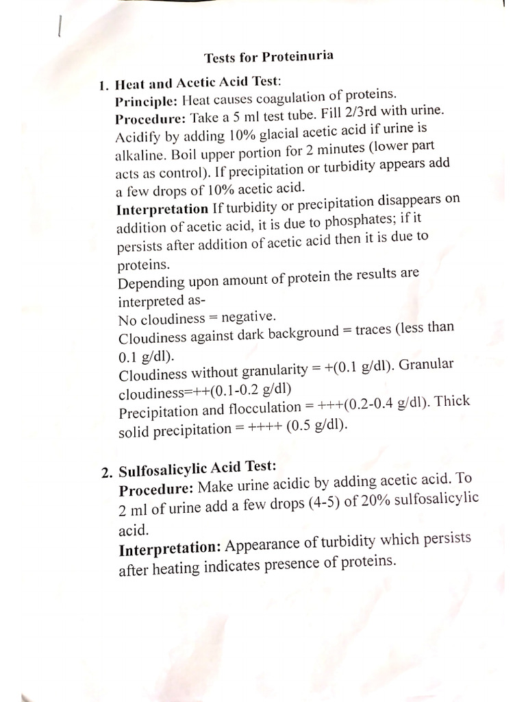 Urine Analysis - Patho | PDF