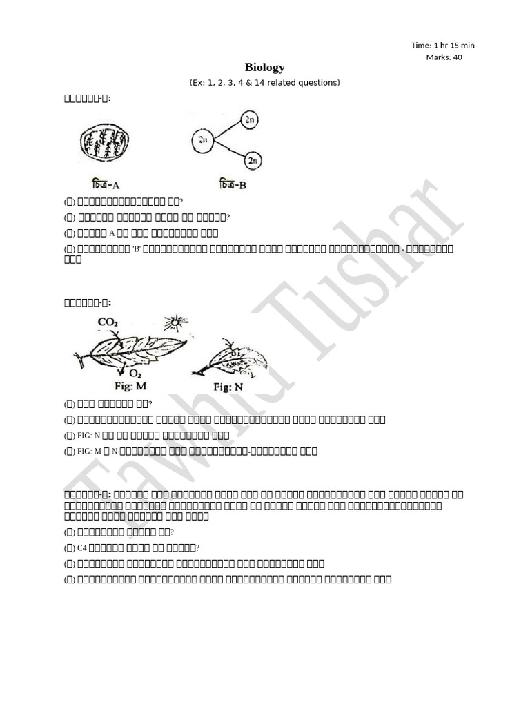 Biology 1,2,3,4,14 Chapter | PDF