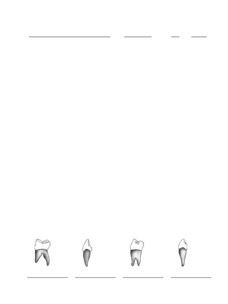 Grade 4 Science C3 | PDF