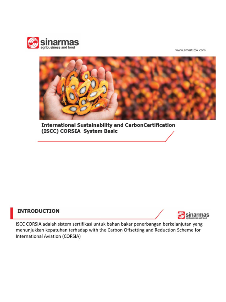 Iscc Corsia Training | PDF