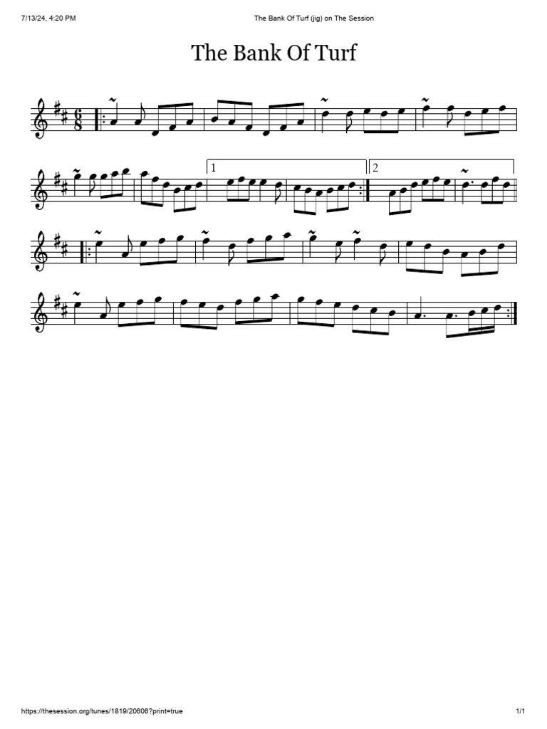 The Bank of Turf (Jig) On The Session | PDF