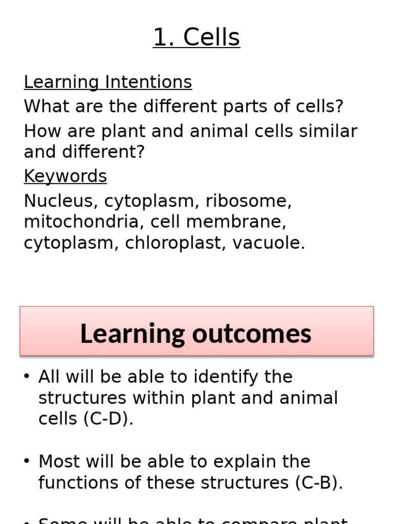 Cells - Tissues - Organs - Diffusion | PDF | Cell (Biology) | Chloroplast
