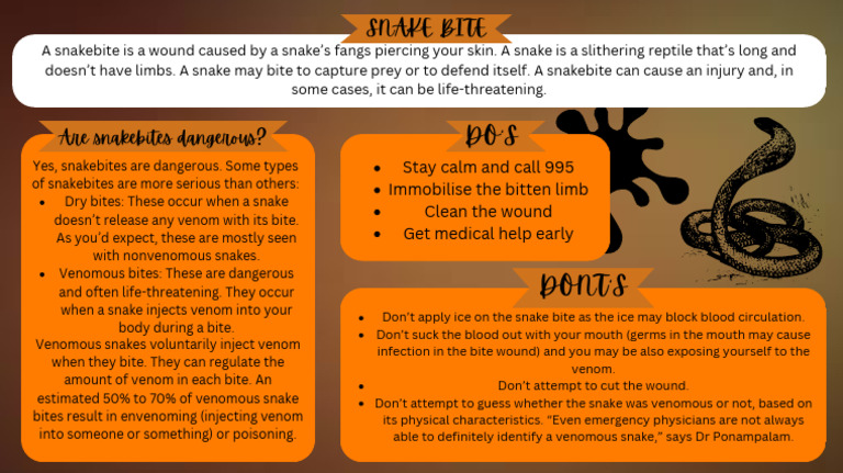 Snake Bite | PDF
