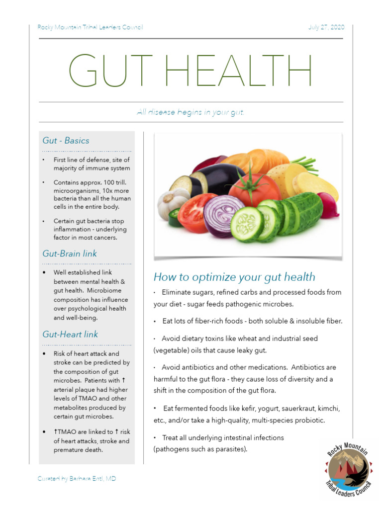 Optimize Your Gut Health Strategies | PDF