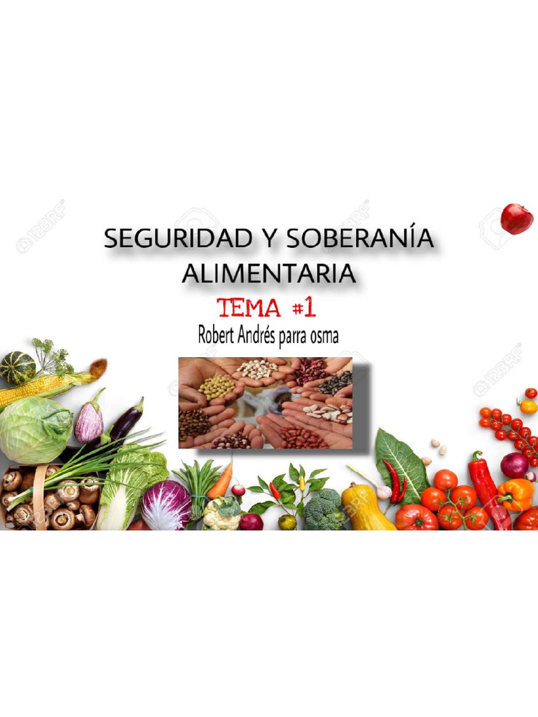 Seguridad y Soberanía Alimentaria | PDF