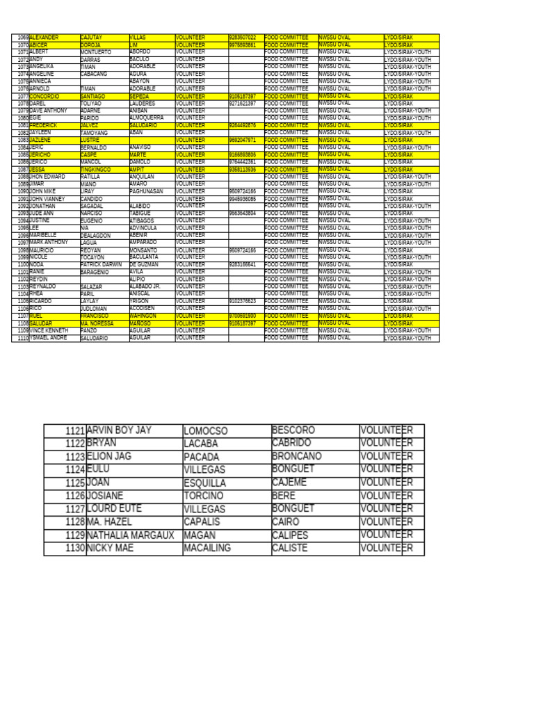 BPSF Volunteers Assigned Task | PDF