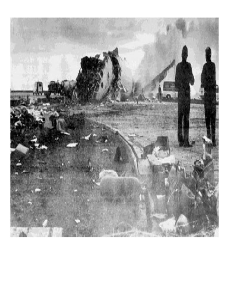 Historical Airplane Crash | PDF