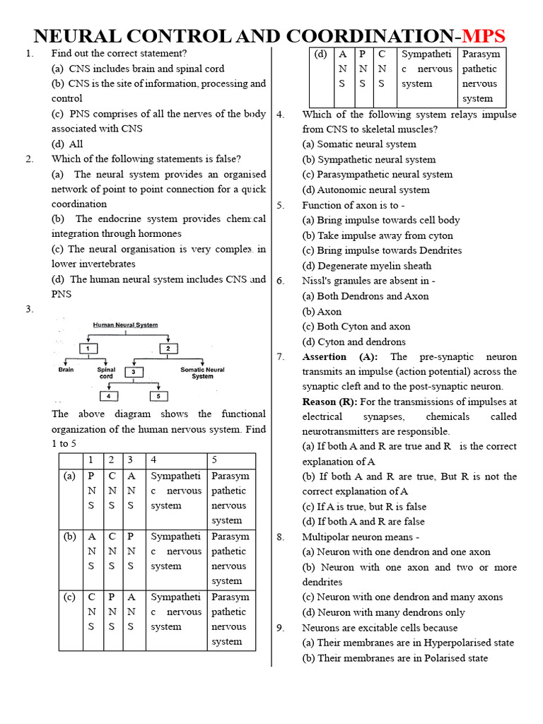 Neural Control and Coordination - NEET-MPS | PDF | Nervous System ...