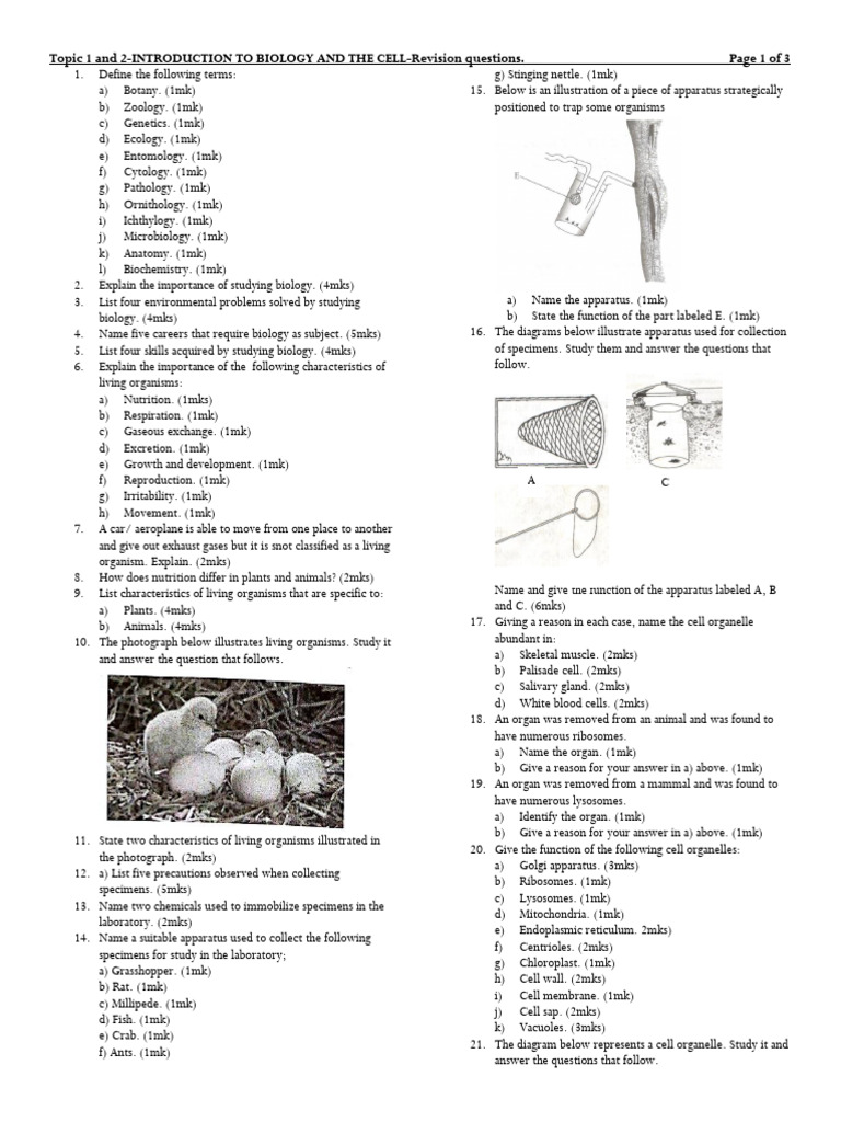 Bio F1 Rev - Sam Obare | PDF | Photosynthesis | Stoma