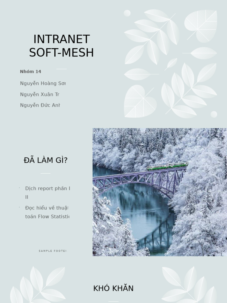Intranet Soft-Mesh | PDF