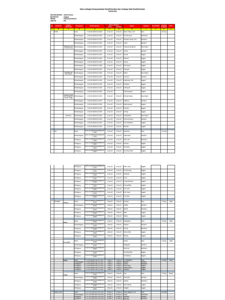 Form Data Kelembagaan Desa | PDF