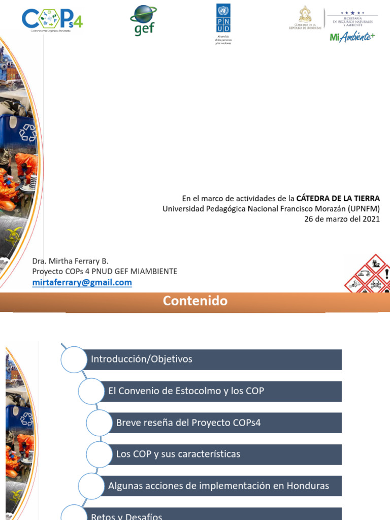 Proyecto COP4 | PDF | Poliestireno | Contaminación