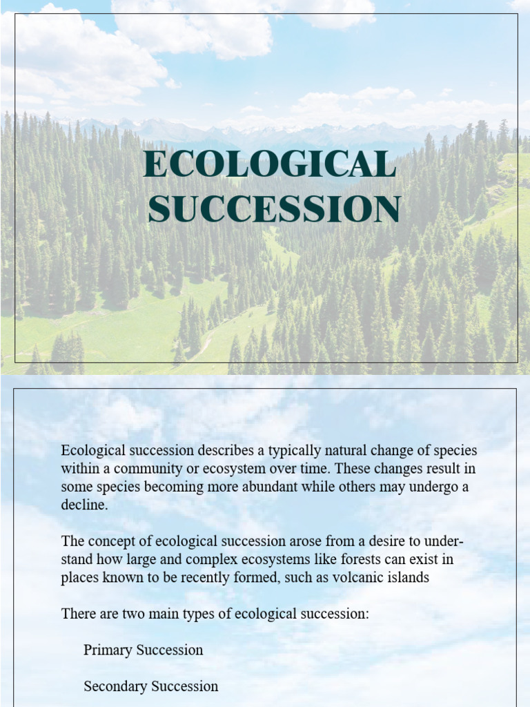 Ecological Succession | PDF