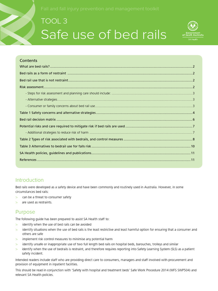 Risk Assessment-Bed Rails | PDF | Risk | Caregiver