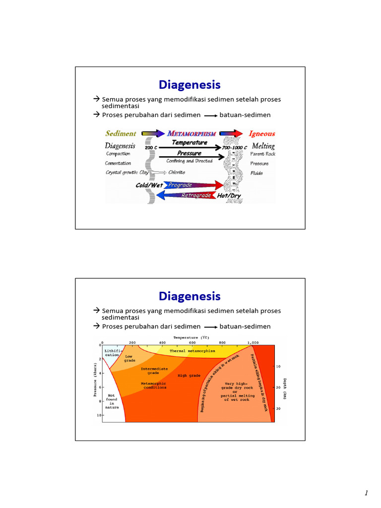Diagenesis in Sedimentary Rocks - Abridge | PDF