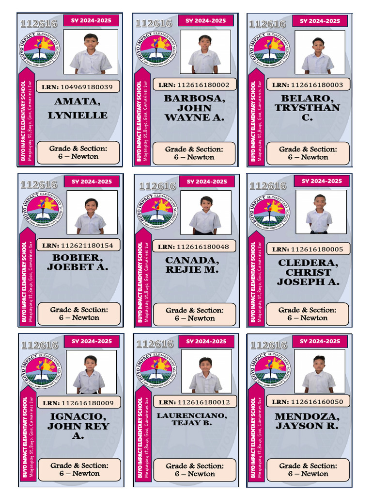 Bies Id Final PDF | PDF