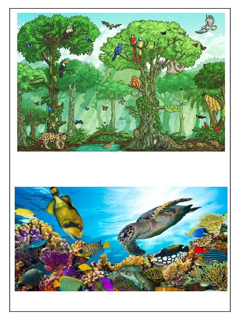 Ecosystems Activity Sheet | PDF | Ecosystem | Ecology