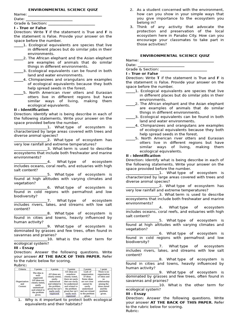 Environmental Science Activity Sheet | PDF | Ecosystem | Ecology