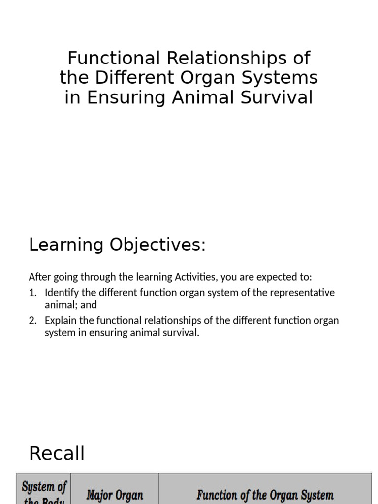 Functional Relationships of The Different Organ Systems in | PDF