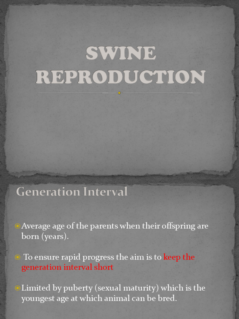 SWINE Breeding | PDF | Reproductive System | Uterus