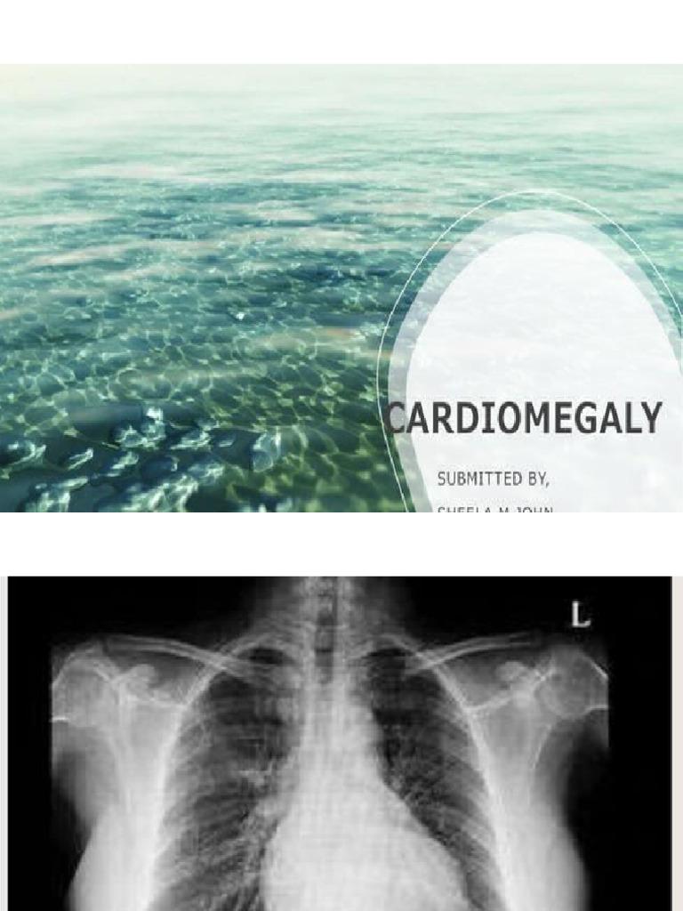 68fc1a01-4fc7-4c00-91f1-c4e6b741bf06 | PDF