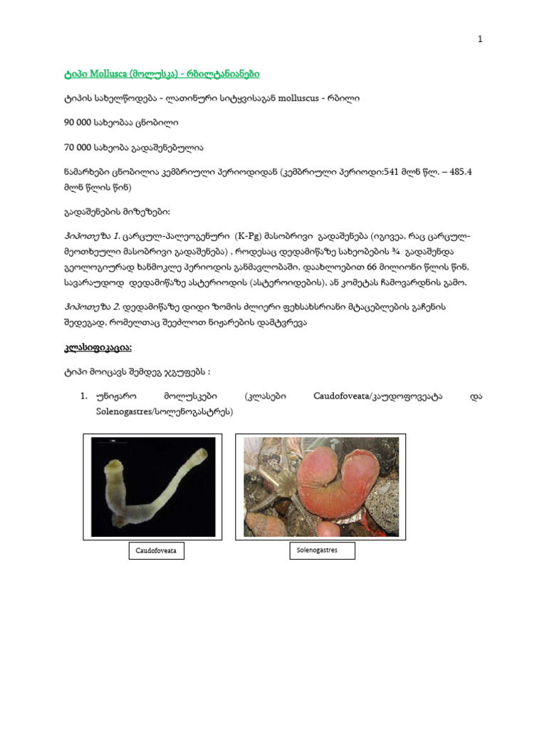 მოლუსკები | PDF