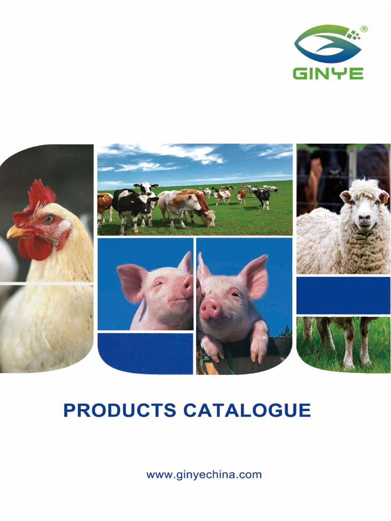 Ginye Catalogue 2024-1 | PDF | Digestion | Probiotic