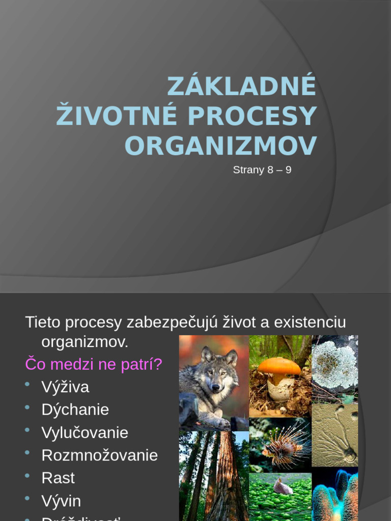 ZÃ¡kladnÃ© Å Ivotnã© Prejavy | PDF