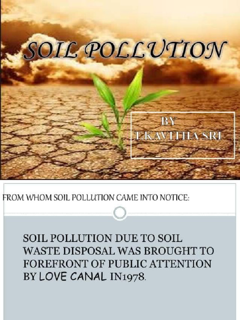 Soil Pollution | PDF