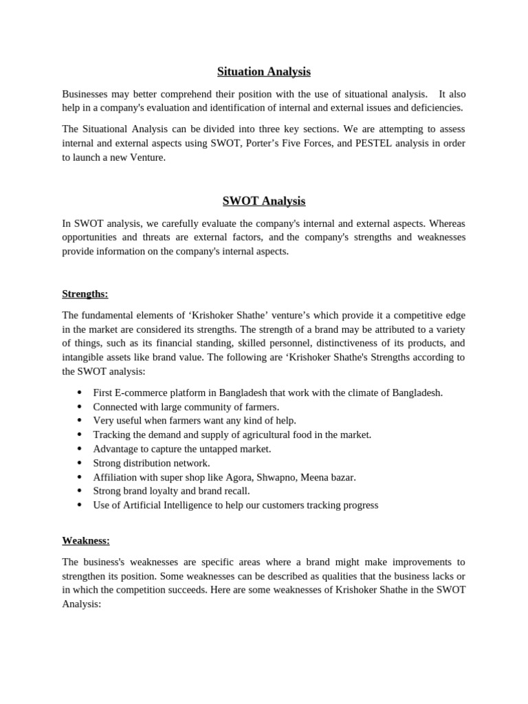 Situation Analysis | PDF | Swot Analysis | Profit (Economics)