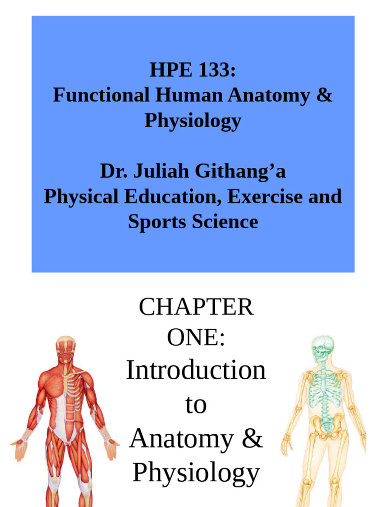 CHAPTER 1 Introduction To Functional Human Anatomy and Physiology | PDF ...