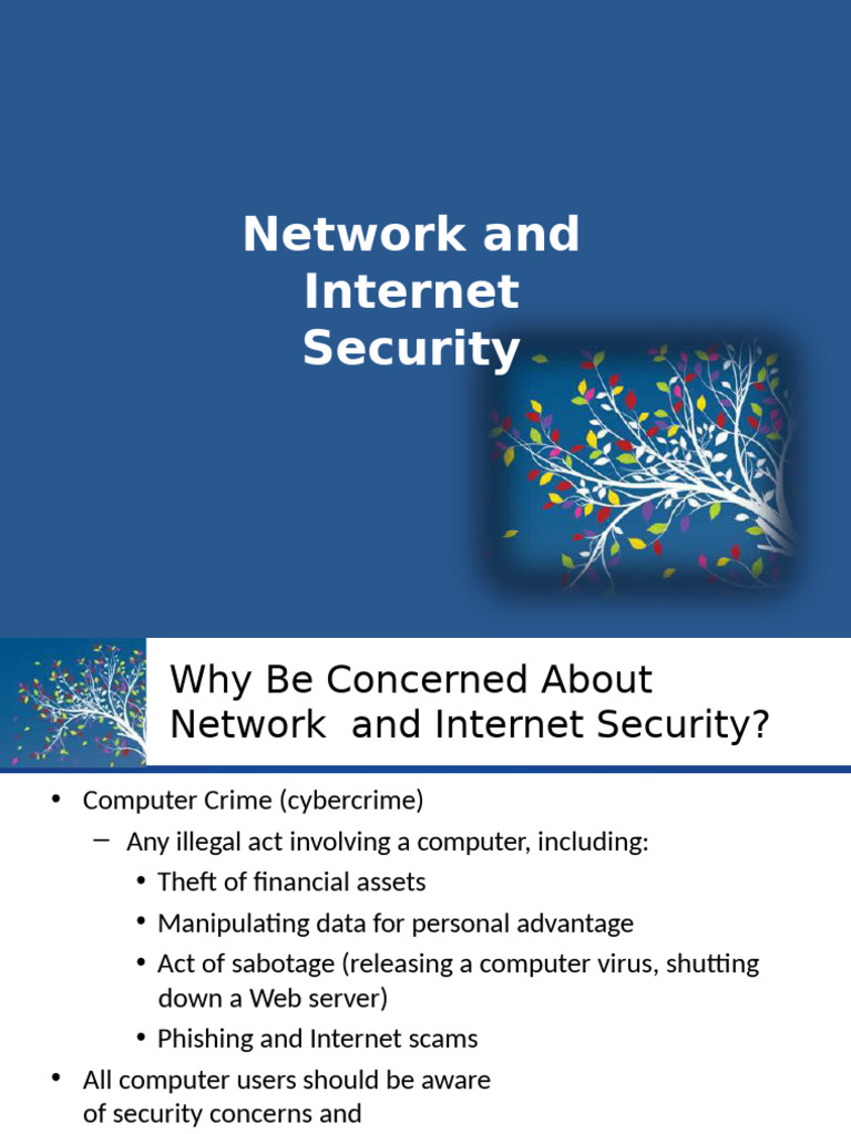 Network and Internet Security | PDF | Malware | Public Key Cryptography