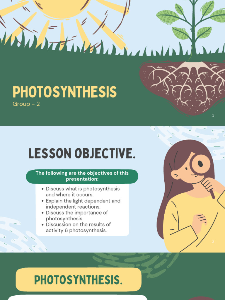 The Process of Photosynthesis. | PDF | Photosynthesis | Electron ...