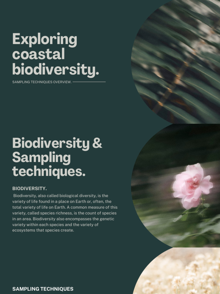 Biodiversity Education Presentation Presentation in Dark Green White ...