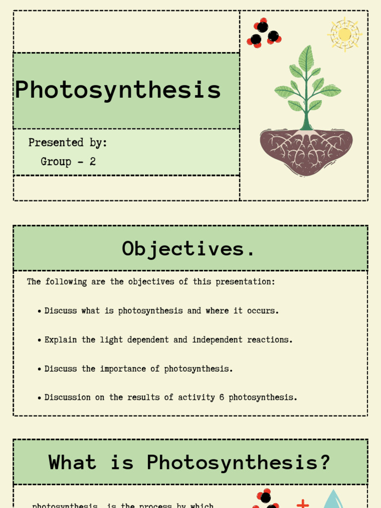 Photosynthesis | PDF | Photosynthesis | Biochemistry