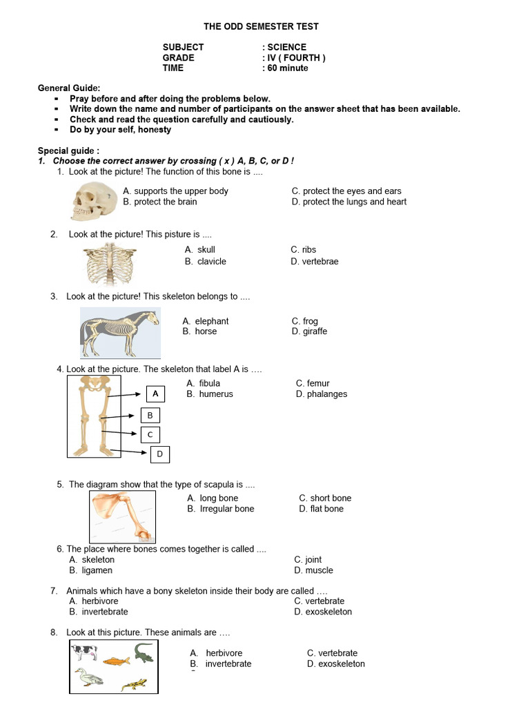 Latihan Soal Science 4 Ats 1 24 | PDF | Skeleton | Bone
