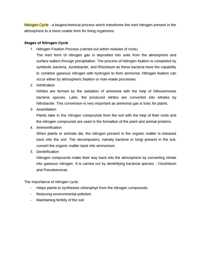 Nitrogen Cycle | PDF