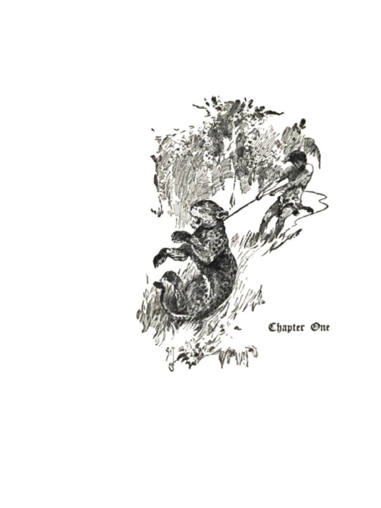 Work3 0 | PDF | Tarzan