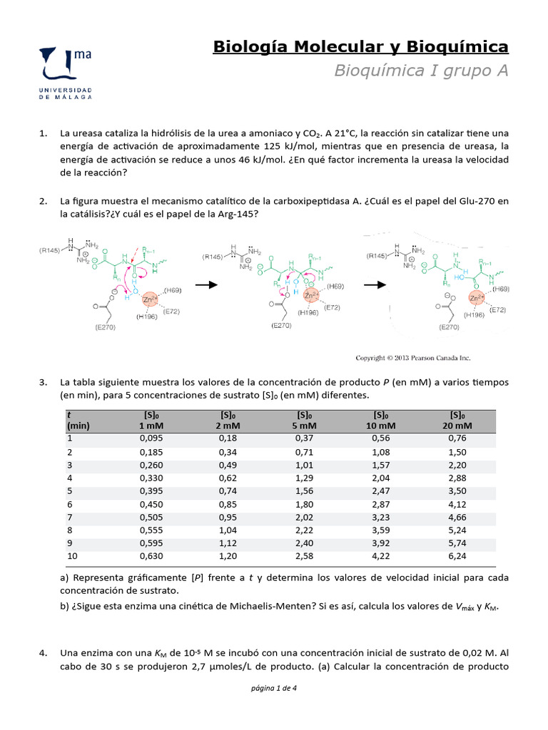 BQ-I - Relacion 2c | PDF | Química | Bioquímica